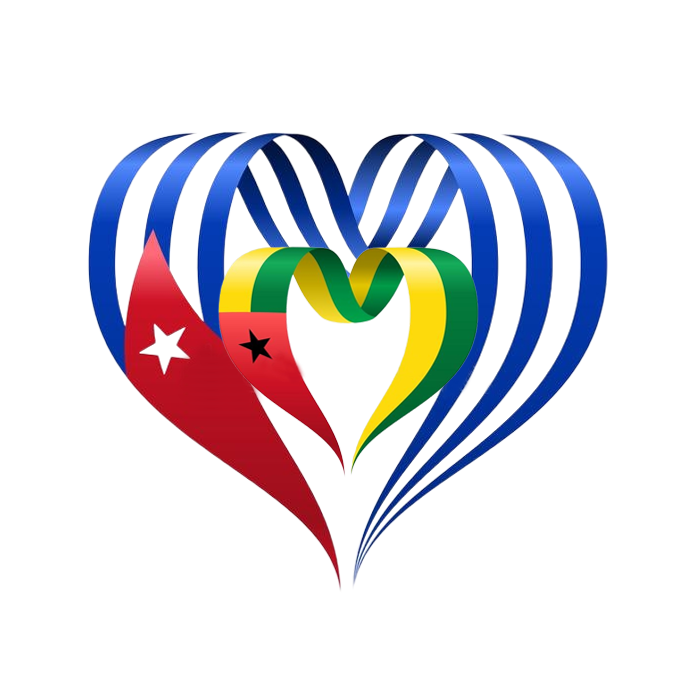 Inicio | Aula Virtual Brigada Médica Cubana